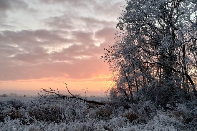 Private Miniature Horse Walking near Lincoln - The Itinerary in Detail