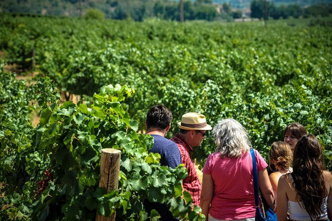 Private Montserrat with Wine Tasting Full Day Trip from Barcelona - Who Will Love This Tour?