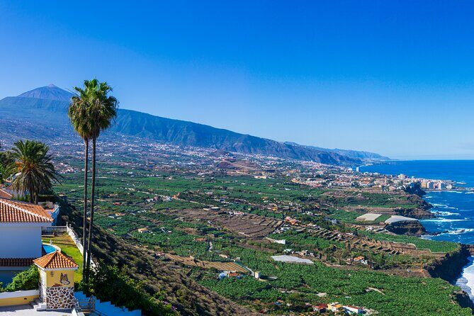 Private nature and culture tour of Teide and northern Tenerife - Transportation, Timing, and Flexibility