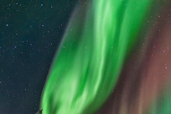 Private Northern Lights Hunting Tour Rovaniemi - Authentic Experiences from Reviews