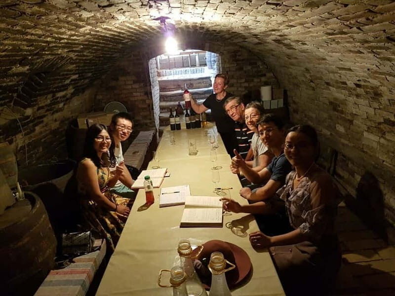 Private Novi Sad, Sremski Karlovci & Farmer's House - Who Is This Tour Best For?