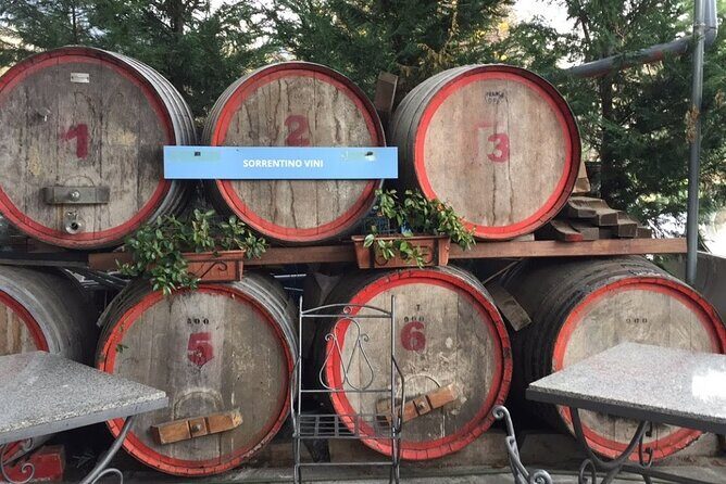 Private Pompeii and Herculaneum Day Tour with Pick Up - Who Will Love This Tour?