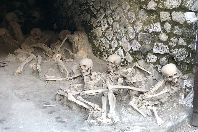 Private Pompeii and Herculaneum with Wine Tasting - Full Tickets - Transportation and Logistics