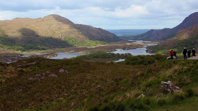 Private Ring of Kerry Highlights Tour from Cork, Car or Minibus - What Travelers Say: The Good, the Bad, and the Unexpected
