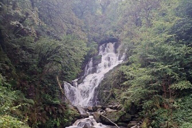 Private Ring of Kerry Tour from Cork City - FAQ