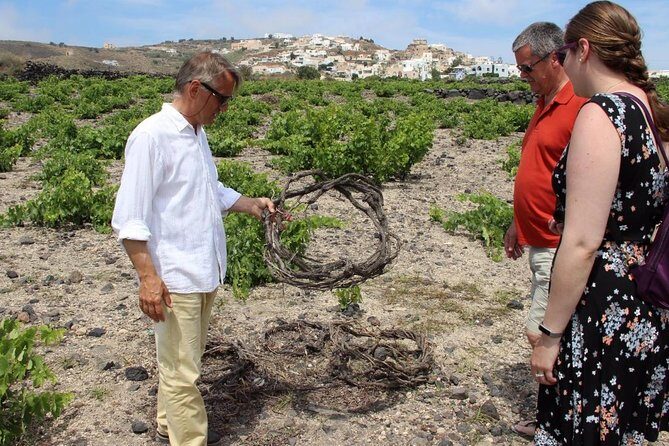 Private Santorini Sunset Wine Tour with Tastings and Tapas - FAQs