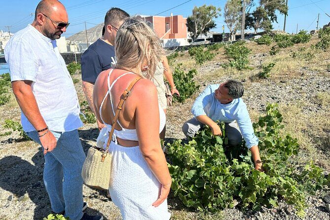 Private Santorini Wine Tour: Explore Top 3 Wineries & Best Views - Price and Value