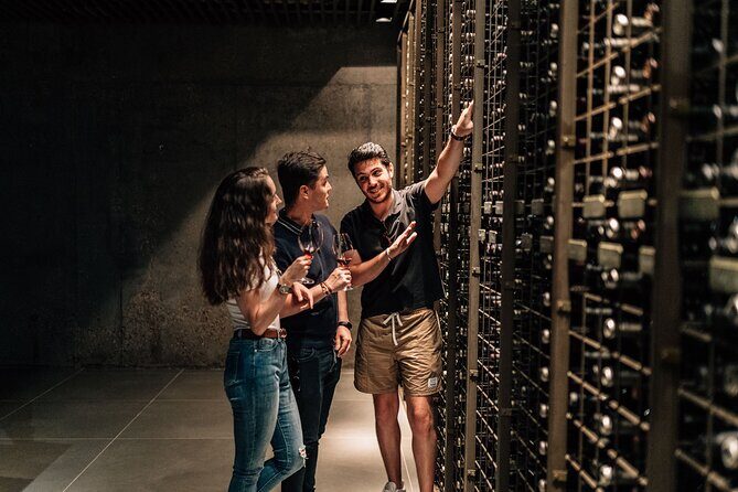 Private Segovia & Ribera del Duero with Wine Tasting from Madrid - The Practical Aspects: What This Tour Means for You