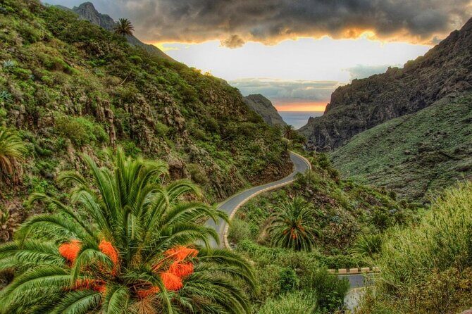 Private Shore Excursion in Tenerife from your Cruise Ship - What’s Included and What’s Not?