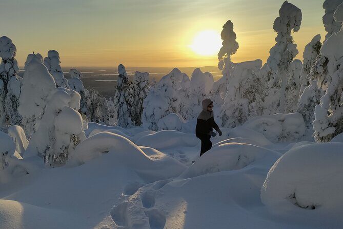 Private Snowshoeing in Levi - The Value of This Experience