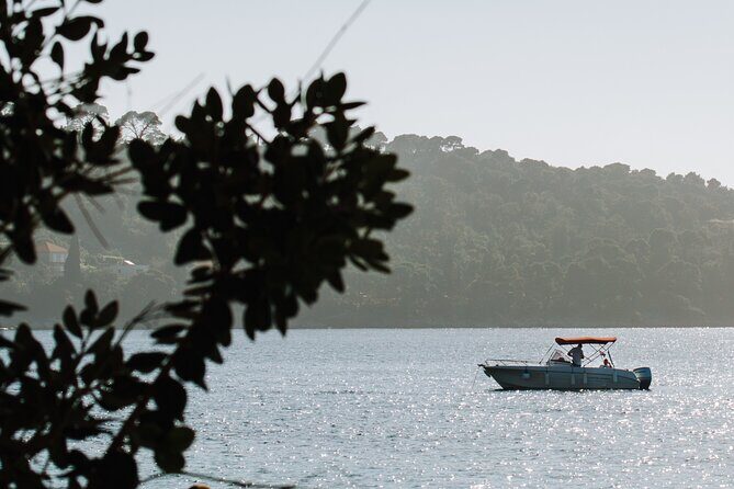 Private Speedboat Tour over Elaphiti Islands and Hidden Caves - Practical Details and Booking Experience