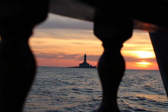 Private Sunset Dolphin Excursion with Dinner and Animation - Final Thoughts