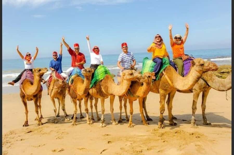 Private Tangier Tour with Lunch and Camel Ride - The Comfort and Convenience of Private Transportation