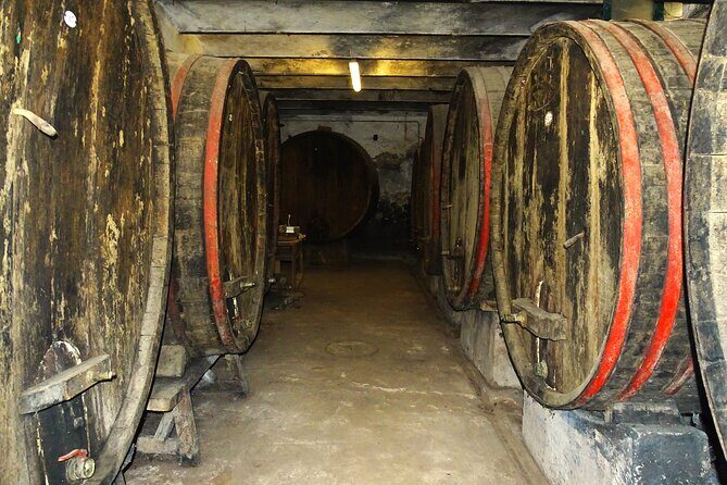 Private tasting of organic wines in the cellar in Arezzo - An In-Depth Look at the Experience
