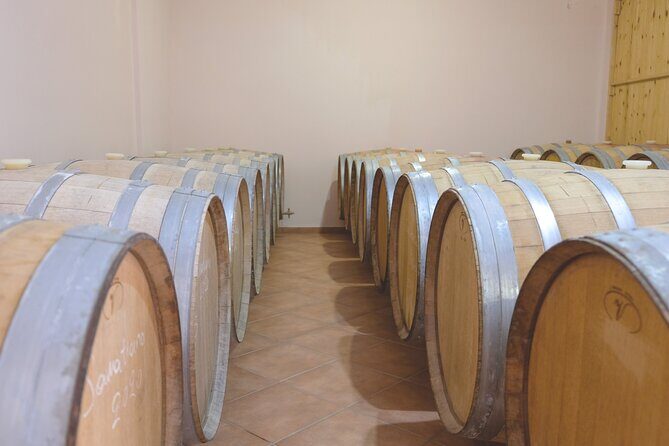 Private Tour and Tasting at Zeginis Winery - Why This Tour Is a Great Choice