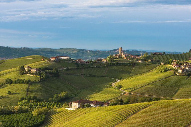 Private Tour: Barolo Wine Tasting in Langhe area from Torino - Practical Details