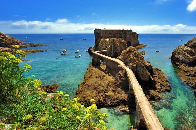 Private Tour: Berlenga Grande Island Day Trip from Lisbon - Practical Tips and Expectations