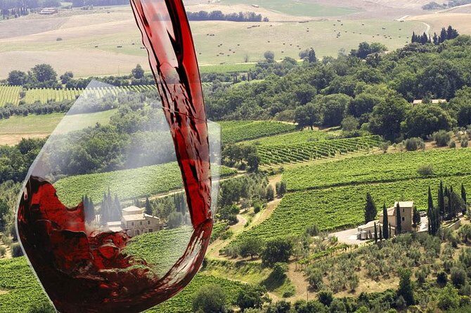 Private tour Brunello di Montalcino and Nobile di Montepulciano wine experience in Tuscany - Insights from Reviews