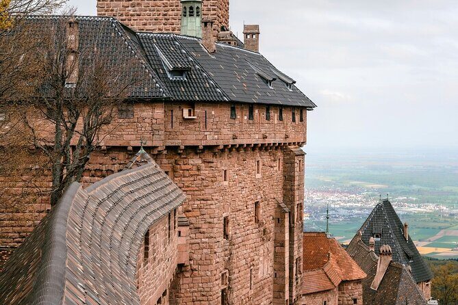 Private Tour: From Strasbourg to Colmar, Eguisheim, Riquewhir - Practical Details That Matter