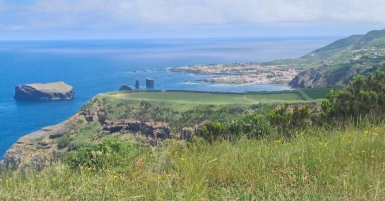 Private Tour Half Day Sete Cidades and pineapple production - Spectacular Viewpoints and Natural Wonders