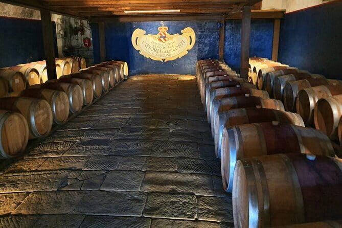 Private Tour of Chianti Siena and San Gimignano by Minivan - What Sets This Tour Apart