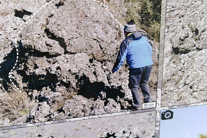 private tour of etna with wine tasting and lunch in the cellar - Transportation and Logistics