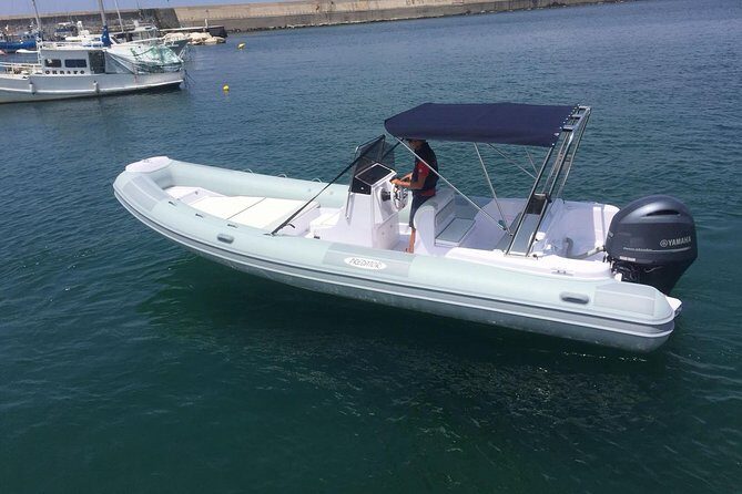 Private Tour of Ischia on Gozzo Fratelli Aprea 750 Open Cruise - Who Will Love This Tour?