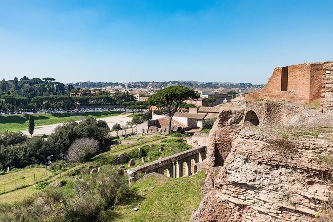 Private Tour of the Colosseum with Roman Forum & Palatine Hill - The Practicalities: What You Need to Know