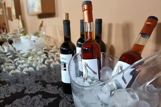 Private Tour to Arrabida with Wine and Cheese Tasting at the Mourisca Tide Mill - Practical Details and Considerations