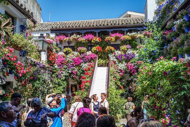 Private tour to Cordoba from Seville (several options) - The Value of a Private Guided Tour