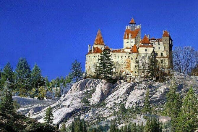Private Tour to Dracula's Castle, Braov City & Pele Castle - Authentic Traveler Experiences