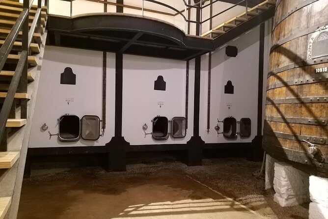 Private Tour to the rock art of Côa Park, Pinhão and Winery - The Value of This Tour