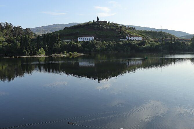 Private tour with 2 wineries and typical harmonized lunch - Why This Tour Is a Great Choice