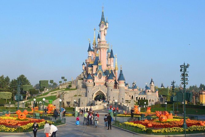 Private Transfer: Disneyland Park or Hotel to Paris by Luxury Van - Authentic Insights from Reviewers