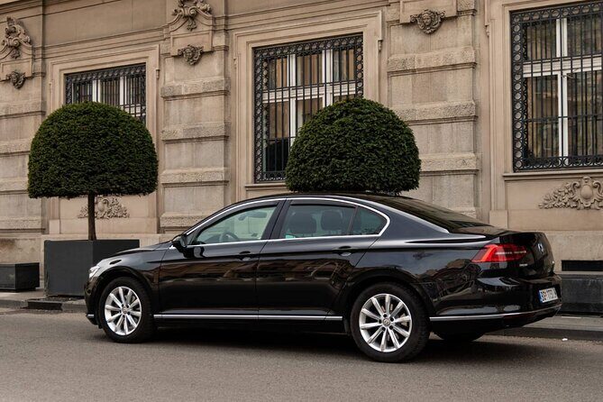 Private transfer from Belgrade or Belgrade Airport to Novi Sad - Authentic Feedback: What Travelers Say