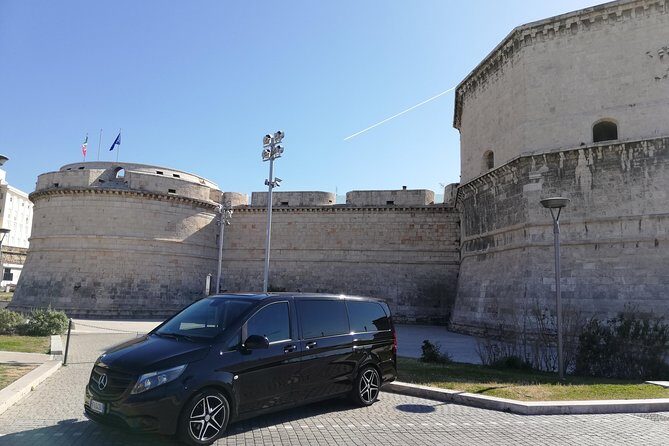 Private transfer from Civitavecchia port to Fiumicino airport (FCO) - In-Depth Look at the Service