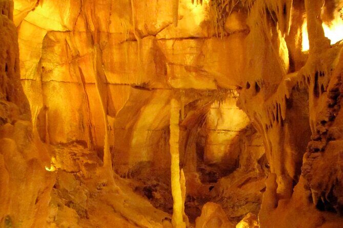 Private Transfer from Lisbon to Porto with Tour - Why Choose This Tour?