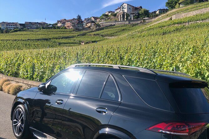 Private transfer Zurich to Basel (1-6 persons) - Final Thoughts