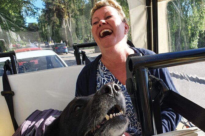 Private TukTuk guided tour in Helsinki 1,5 hours - FAQ