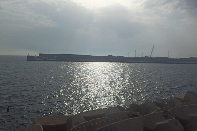 Private TukTuk Tour 2 Hours of Valencia - Final Thoughts