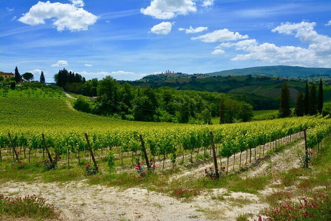 Private Tuscany Day Tour: San Gimignano and Chianti Wine Region from Florence - Transportation and Comfort