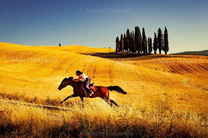 Private Tuscany Photo Tours - Practical Tips for Your Tour