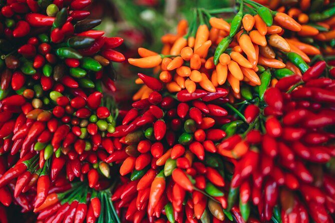 Private Venice Street Food Tour with a Sommelier - Final Thoughts: Who Will Love This Tour?