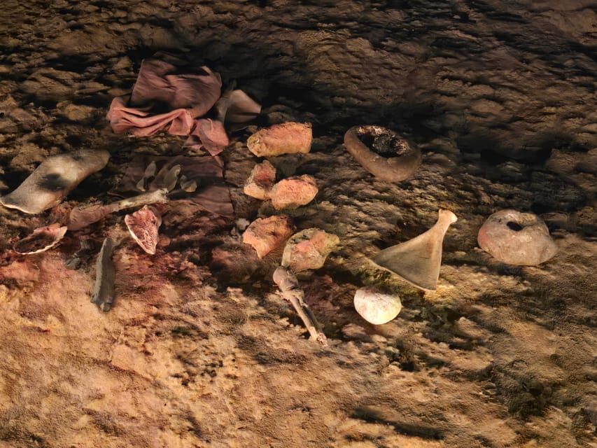 Private visit Altamira Museum and Neocave: the fascination of prehistory - What to Expect from Your Visit