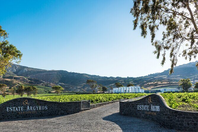 Private Wine Adventure Tour in the Most Distinct Wineries - A Deep Dive into the Experience