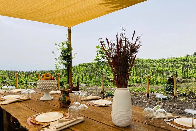 Private Wine and Food Tasting Immersed in Nature in Milo - The Practical Side: What You Need to Know