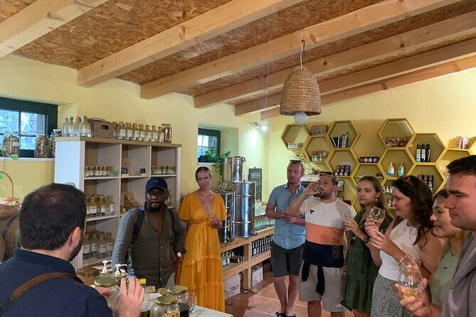 Private Wine and Gin Tour Around the Island of Korcula - The Sum Up
