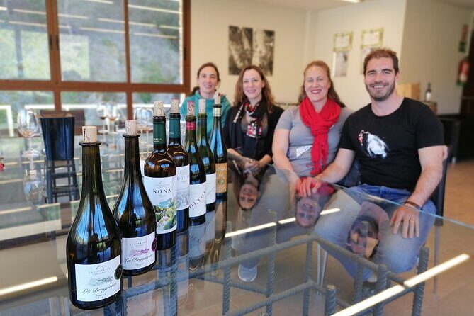 Private Wine and Oil Tour in the Priorat Wine Region - Who is This Tour Best For?