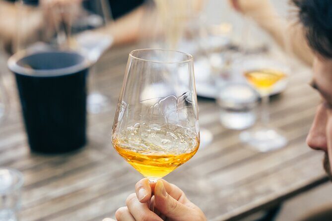 Private Wine Tasting Experience in Ljubljana - Breaking Down the Itinerary