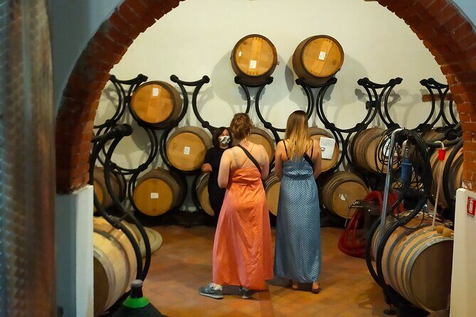 Private wine tour on the magical hills of Lucca (2 wineries) - Who Will Love This Tour?